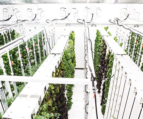 Agritektura Agritecture Agritechture Rolnikujpl