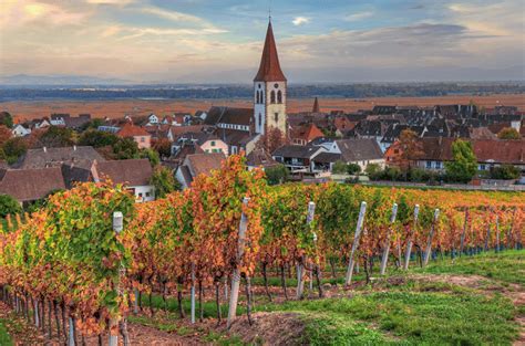 Alsace Wine Region