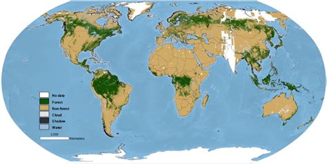Global Distribution Of Forest Cover Circa 1990 Download Scientific