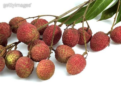 Litchi Or Litchee Litchi Sinensis Exotic Fruits Against White