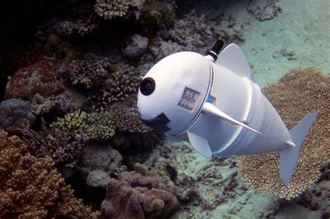 The Robotic Fish That Flaps Its Fins In Fiji S Rainbow Reef New Scientist
