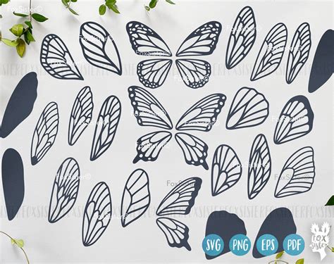 Butterfly Wings Svg Designs For Cricut And Silhouette Butterfly Svg