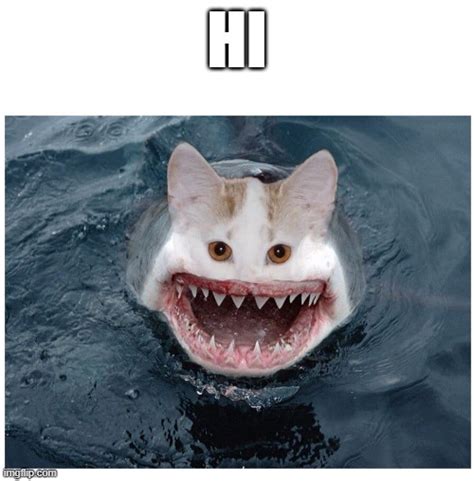 Hi Imgflip