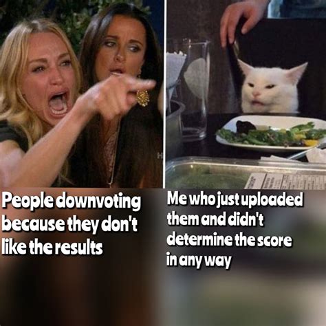 Voting Memes ♡ Rmarinaandthediamonds