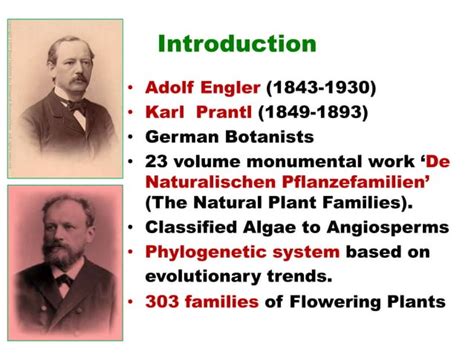 Engler And Prantl System Of Classification Ppsx