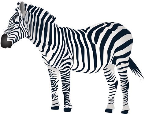 Zebra Download Clip Art Zebra Png Download 80006326 Free