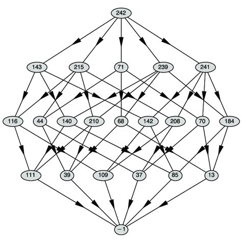 The Graph Of The Polyhedron Γ 2 Download Scientific Diagram