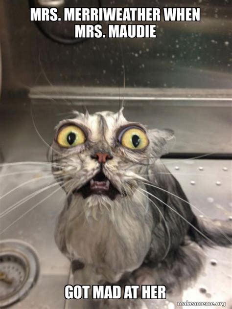Mrs Merriweather When Mrs Maudie Got Mad At Her Cat Bath Meme Generator