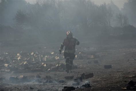 Senapred Llama A Evacuar Sectores De Ñuble Por Incendio Forestal