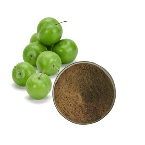 Plum Extract Powder At ₹ 1400kg Organic Amla Powder In New Delhi