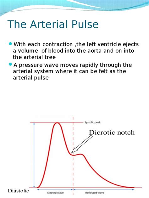 The Arterial Pulse Pdf Pulse Cardiovascular System