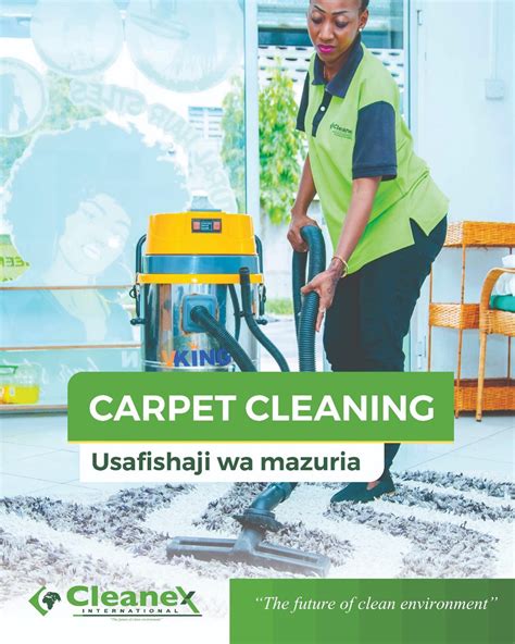 Comprehensive Cleaning And Fumigation Cleaning Begins With Cleanex