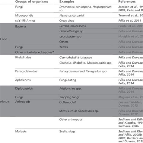 The Biotic Environment Of C Elegans Download Scientific Diagram