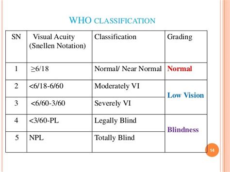 Low Vision And Blindness