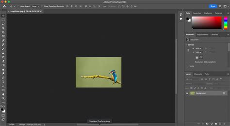 How To Resize Images In Adobe Photoshop