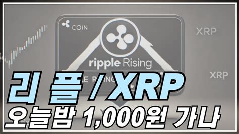 리플 Xrp 오늘밤 1000원 가나 Xrp 리플 리플전망 리플분석 리플코인 리플차트 리플재판 코인추천