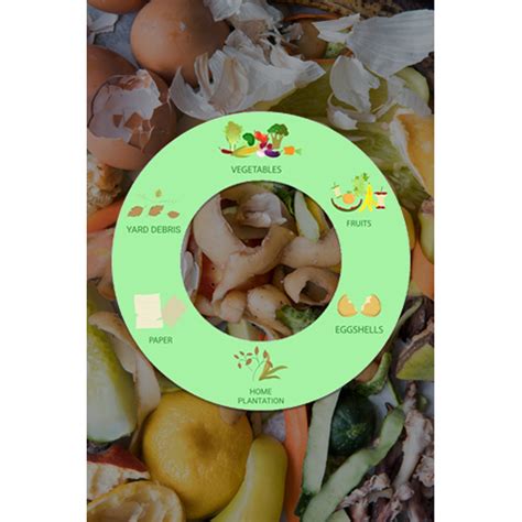 Industrial Vegetable And Fruit Processing Waste Services At Best Price