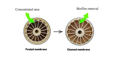 Preventing Ro Membrane Fouling And Extending Its Lifespan Ro Service