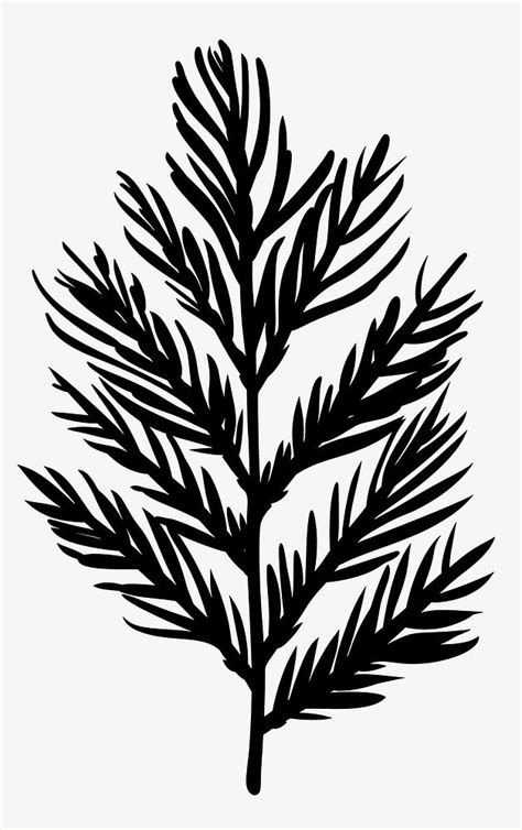 Cedar Leaf Leaf Art Illustration Free Vector Rawpixel