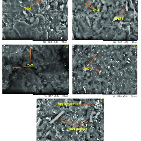 Surface Morphology Of Foamed Polymer Composites At Different Zno