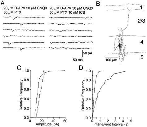 Spontaneous Serotonergic Epsc S A Spontaneous Synaptic Activity Download Scientific Diagram