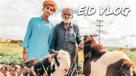 Bakra Eid Vlog 2019 Youtube