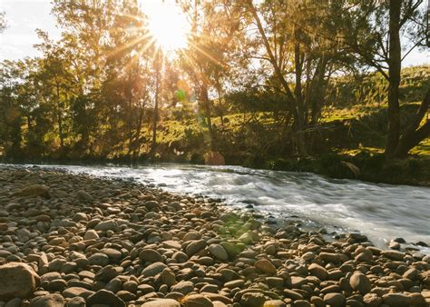 Lostock Dam Caravan Park Hipcamp In Lostock New South Wales