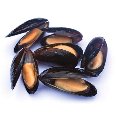 Mollusc And Crustacean Allergen The Uk 14 Main Allergens Libereat