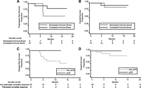 Paired Whole Exome And Transcriptome Analyses For The Immunogenomic