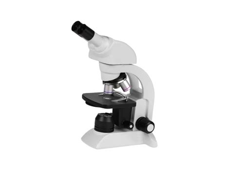 Microscope Magnification Power