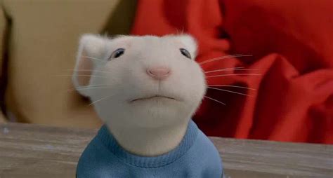 Stuart Yeah Dad Whats The Silver Lining This Time Shell Be Back