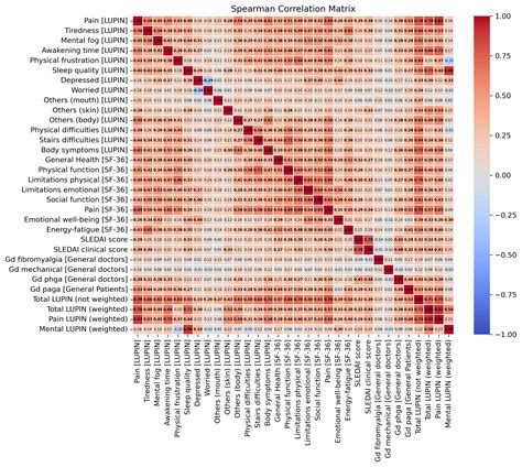Development And Validation Of A Patient Centered Self Evaluation Questionnaire In Systemic Lupus