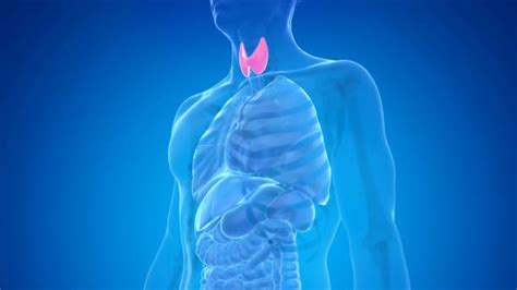 Tepezza Approved For Thyroid Eye Disease Regardless Of Disease Activity