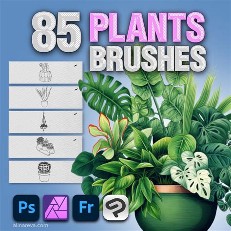Photoshop Plants Brushes Photoshop Interior Brushes Photoshop Potted