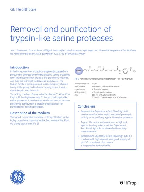 Removal And Pu Proteases Pdf Protease Trypsin