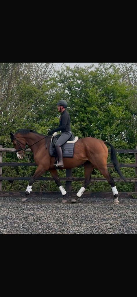 Llanigon Yfc Fun Ride 2025