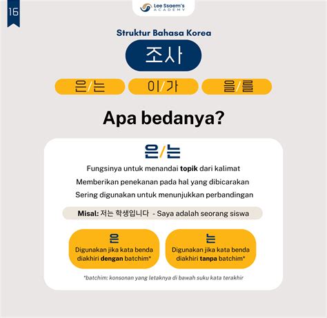 16 3 Marker Particle Korea Lee Ssaems Academy