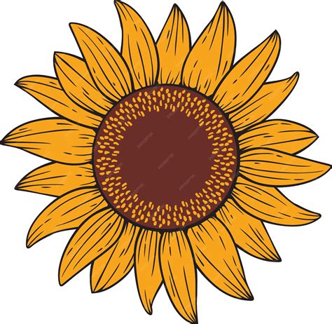 Premium Vector Sunflower Flower