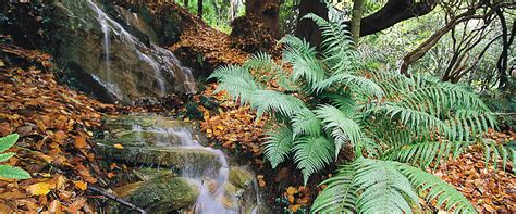 Andrée Evans Psychology Home