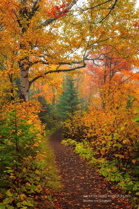 Minnesota Autumn Wallpapers Top Free Minnesota Autumn Backgrounds