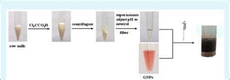 Schematic Representation Of The Analytical Process For Determining Urea