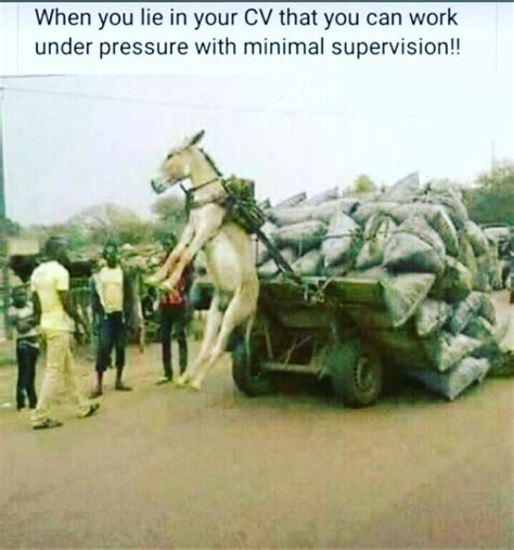 Andrew Peter Kato Posted On Linkedin