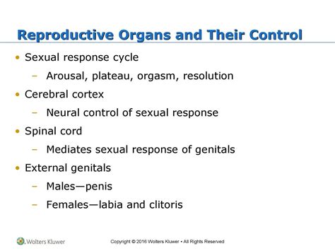 Chapter 17 Sex And The Brain Ppt Download