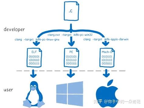 万字长文看这一篇就够了！webassembly原理剖析与生产应用 知乎