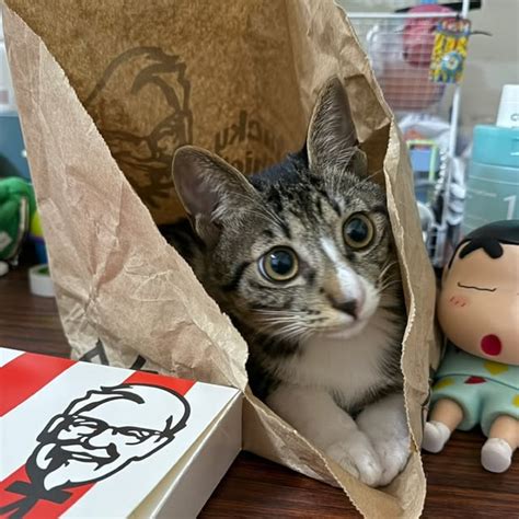 🤓登阝₍ᐢ⸝⸝⸝o̶̶̷̅ ̫ O̶̶̷̅⸝⸝⸝ᐢ₎ Xxcc117 • Threads Say More