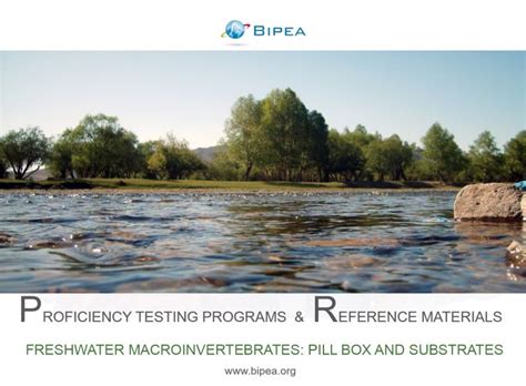 Macroinvertebrates Qualitycontrol Proficiencytest Bipea Bipea