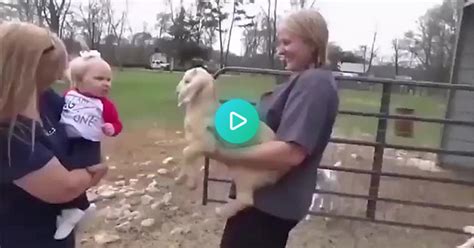 My Last 2 Brain Cells Interacting Before Getting Ready For Work After