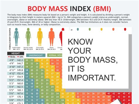 Bmi Chart Height Weight Guide Printable A4 Pdf Etsy