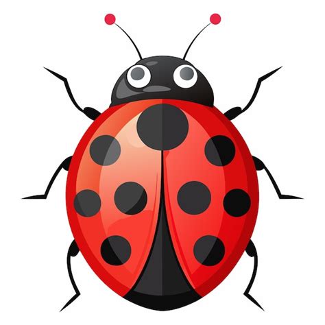 Lady Beetle On White Background Premium Ai Generated Vector