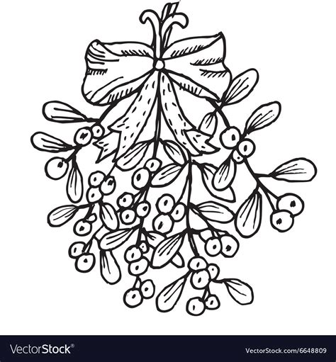 Mistletoe Vector Black And White